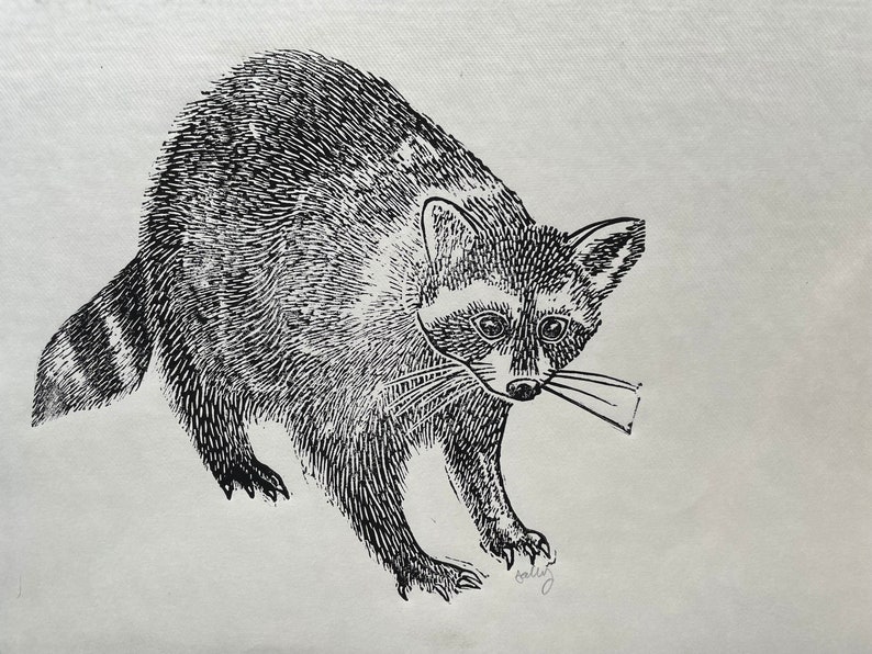 Raccoon- Original Linocut Print - Etsy