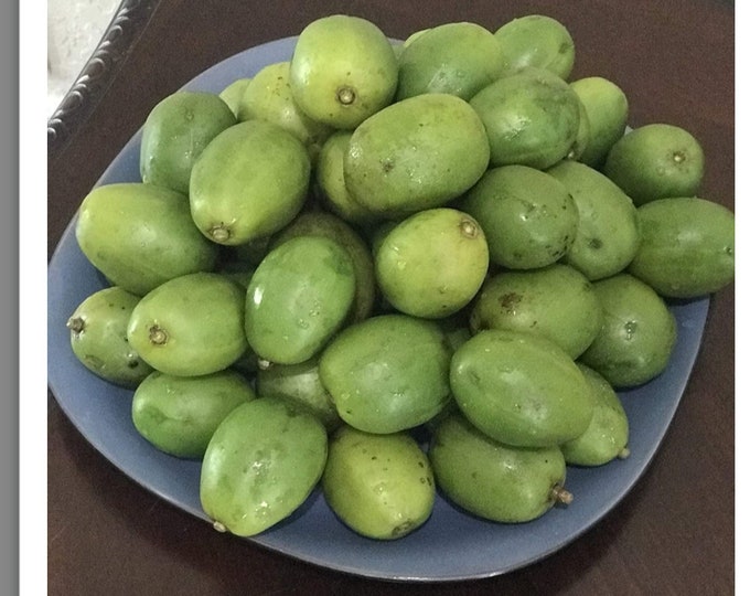 2lb Fresh June Plum ( Message First Fruit is on a First Come First ...