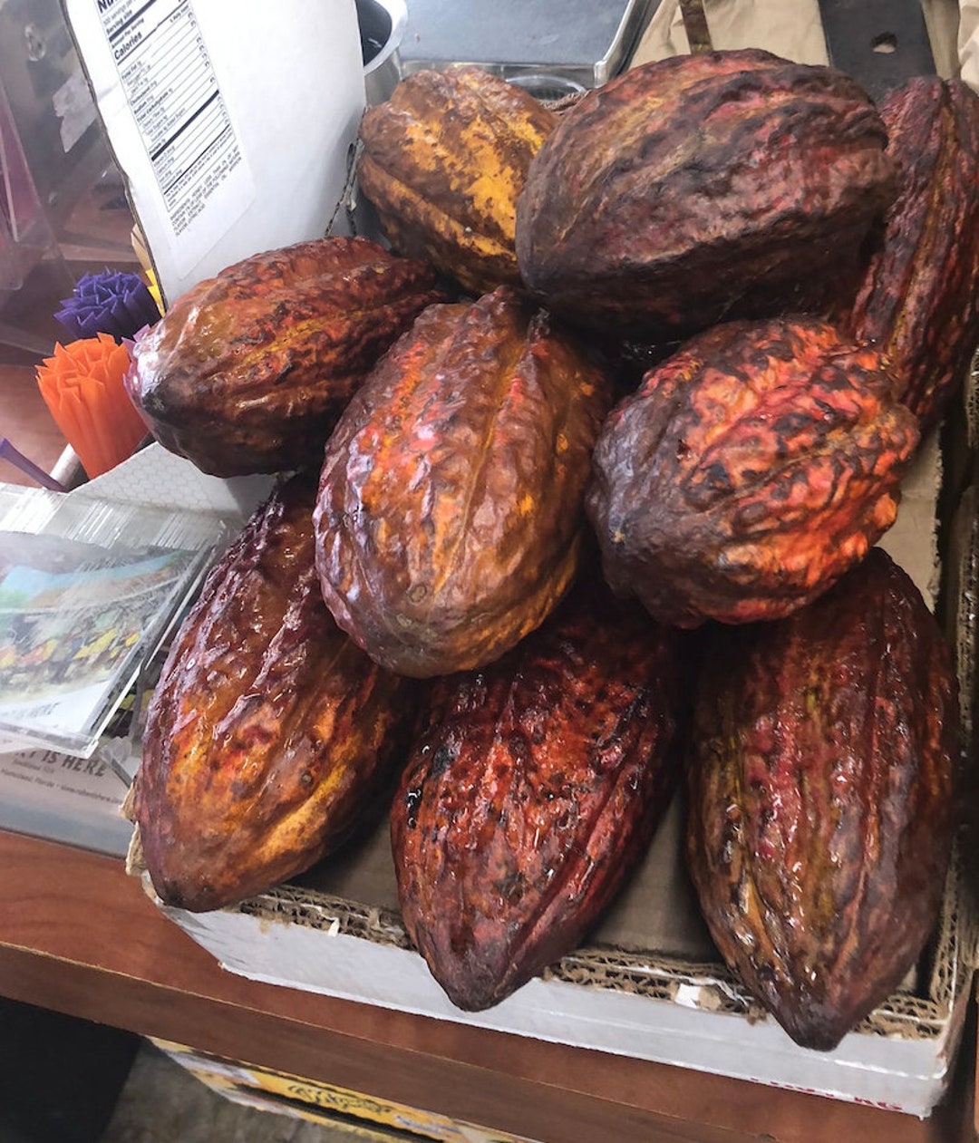 Cacao Pods Ecuador - Etsy