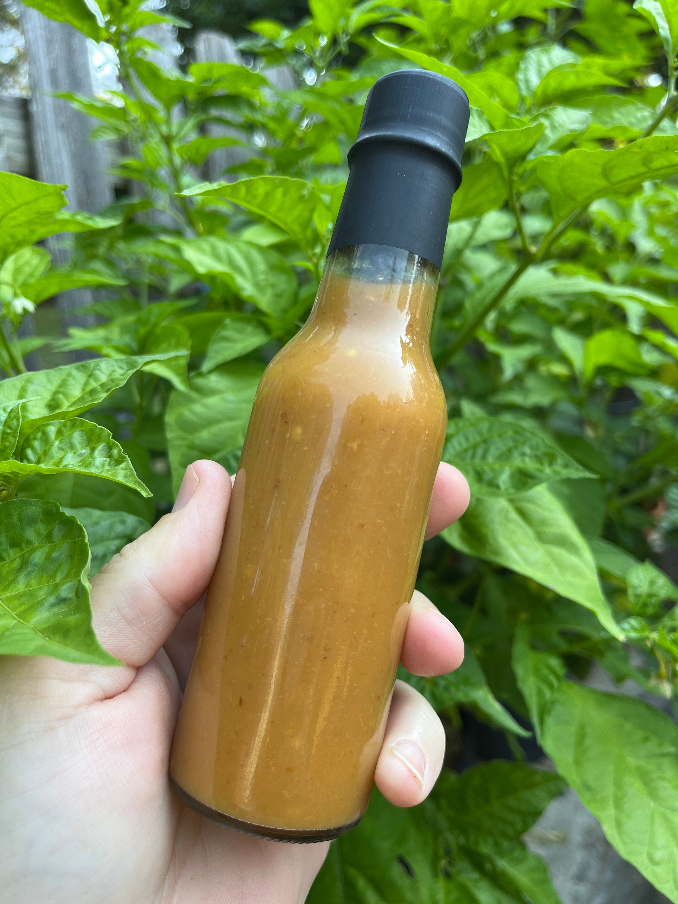 Smoked Peach Ghost Pepper Hot Sauce - Etsy
