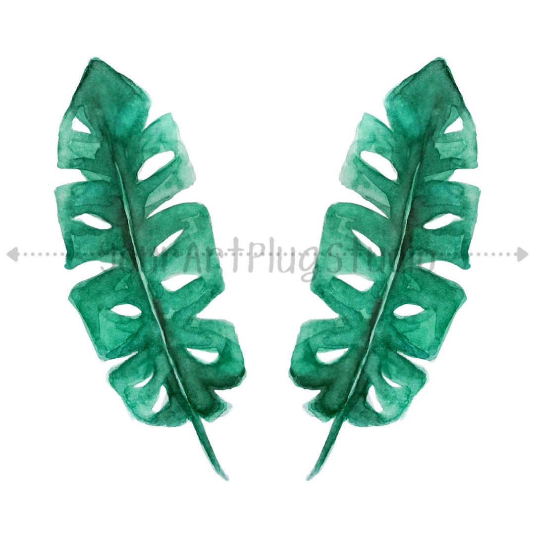 Leaf Graphic | SVG, PNG, JPG - Etsy