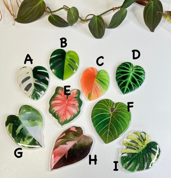 Magnetic Plant Leaf Magnet - Etsy