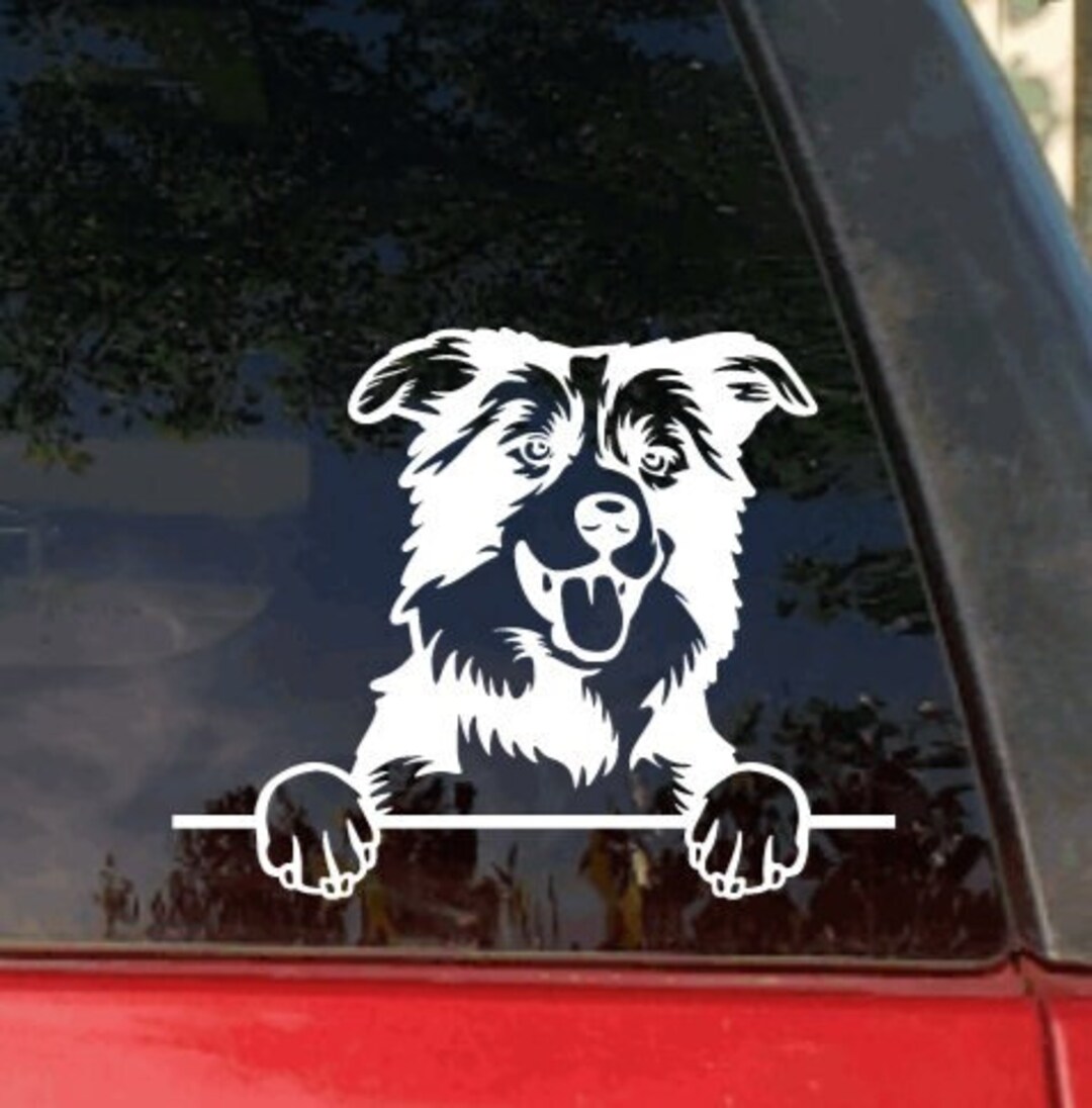 Border Collie Dog Car Decal, Border Collie Gifts, Personalized Decal ...