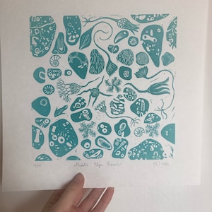 Middle Hope Beach Crinoid Fossil Seaside Turquoise or Flourescent Pink ...