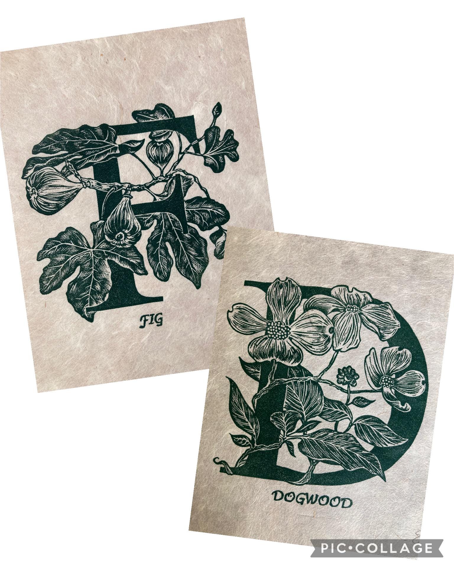 Letter D & F Tree Alphabet Series Lino Print - Dogwood Fig - Etsy