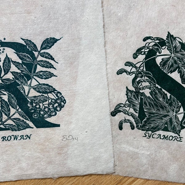 Rowan Tree Art - Etsy