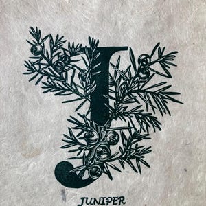 Letter K L Tree Alphabet Series Lino Print - Juniper, Katsura Tree, Laburnum - Etsy