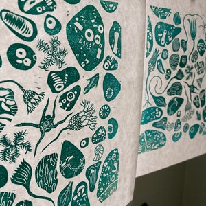 Middle Hope Beach Crinoid Fossil Seaside Turquoise or Flourescent Pink ...