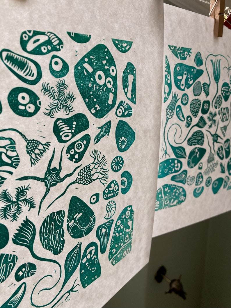 Middle Hope Beach Crinoid Fossil Seaside Turquoise or Flourescent Pink ...