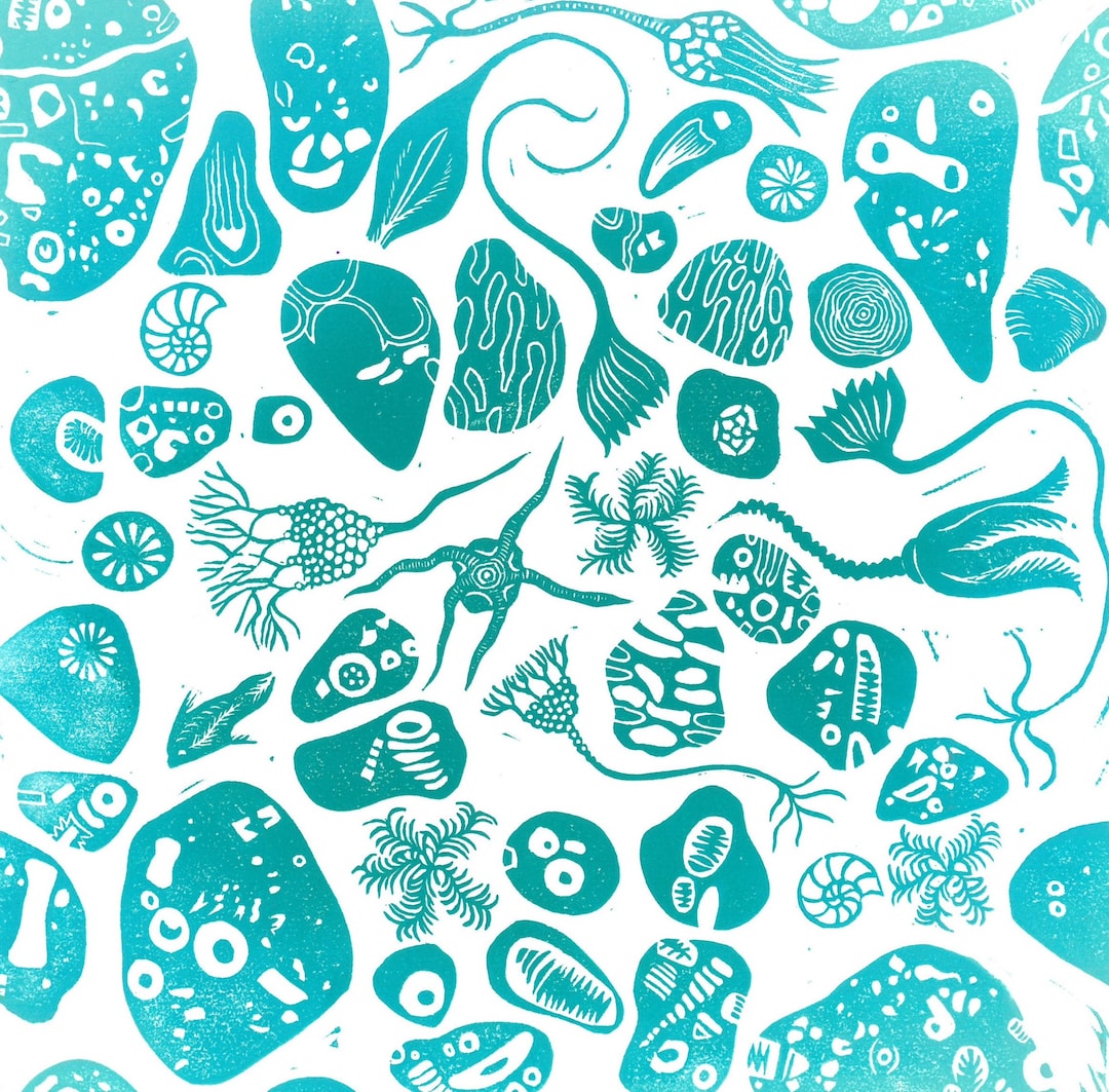 Middle Hope Beach Crinoid Fossil Seaside Turquoise or Flourescent Pink ...