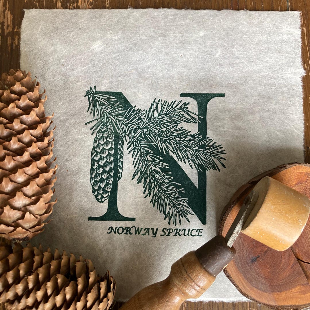 Letter N Tree Alphabet Series Lino Print - Norway Spruce - Etsy