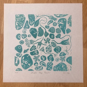 Middle Hope Beach Crinoid Fossil Seaside Turquoise or Flourescent Pink ...