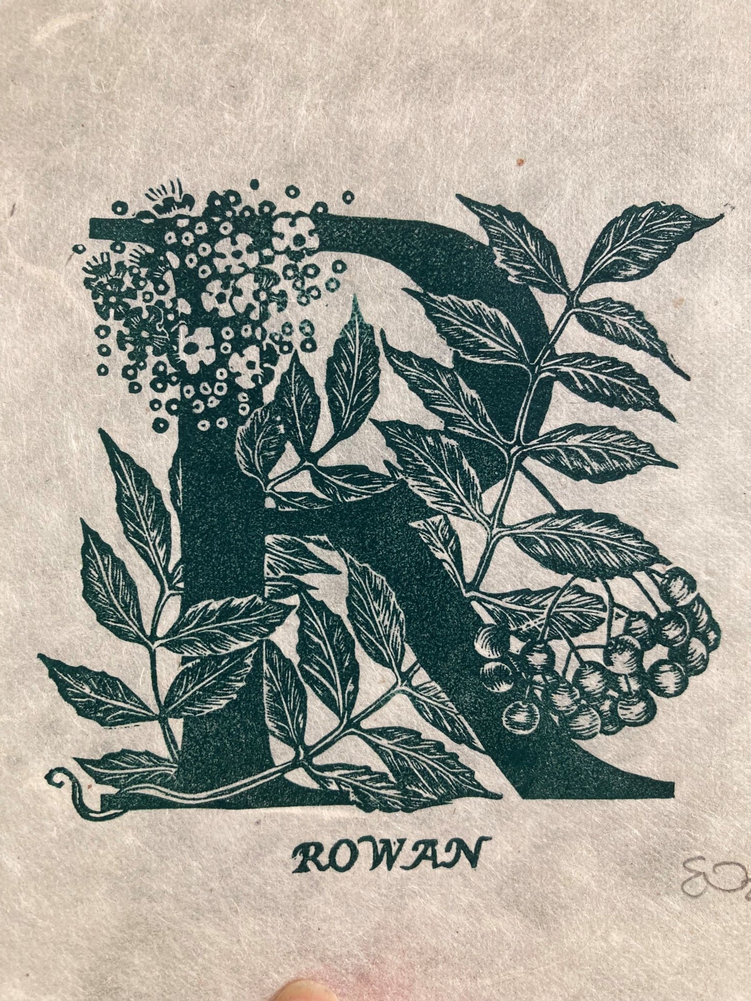 Letter S & R Tree Alphabet Series Lino Print - Sycamore Rowan - Etsy