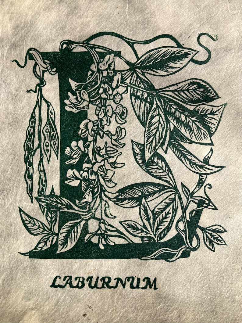 Letter K L Tree Alphabet Series Lino Print - Juniper, Katsura Tree ...