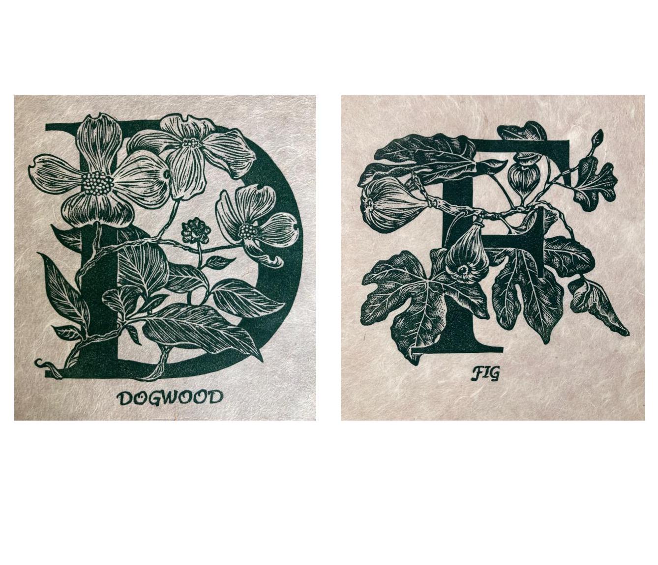 Letter D & F Tree Alphabet Series Lino Print - Dogwood Fig - Etsy