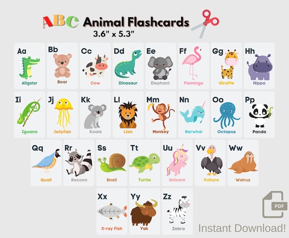 Animal Alphabet Flash Cards ABC Animal Flash Cards Alphabet - Etsy