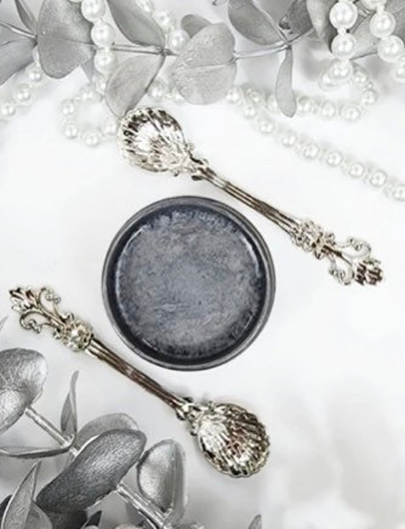 Paint Couture Antique Silver Metallic Paint - Etsy