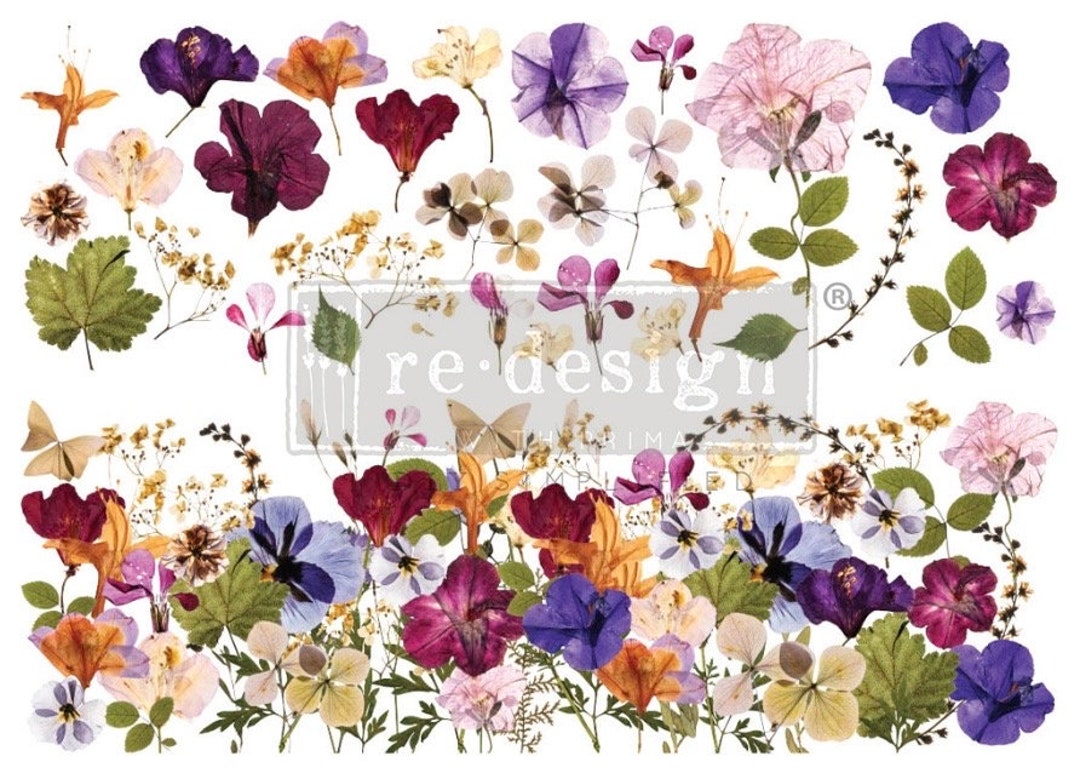 Redesign by Prima Transfer Pressed Flowers - Etsy