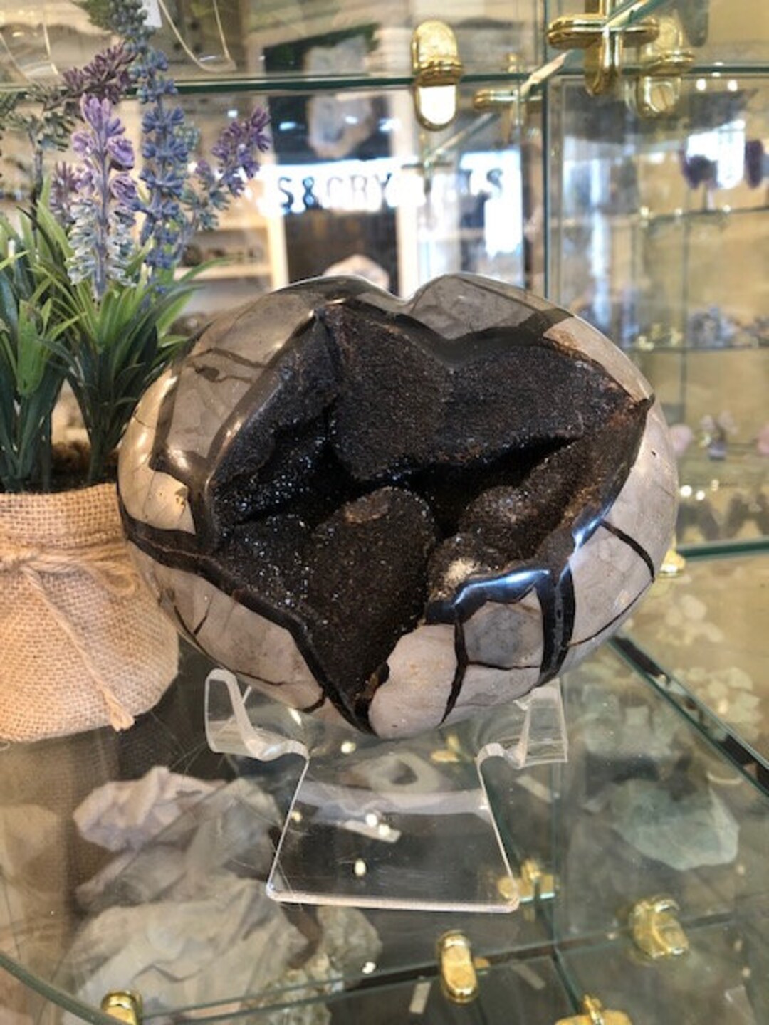 Septarian Heart, Septarian, Dragon Stone, Healing Crystal, Home Decor ...