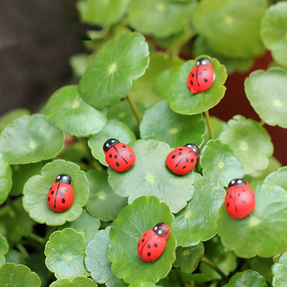 Mini Wooden Ladybugs 100 Pieces - Etsy