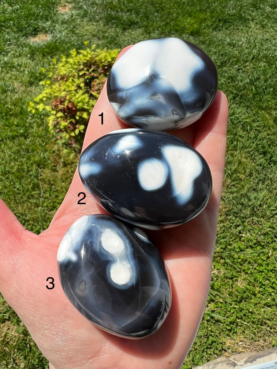 Orca Agate Palm Stones// Forgiveness Stone - Etsy