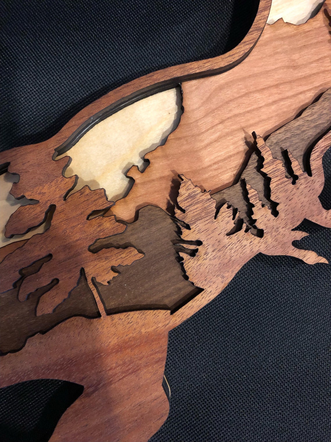 Tyrannosaurus Rex T-rex Wood Wall Decor Wall Art Sign Wall | Etsy