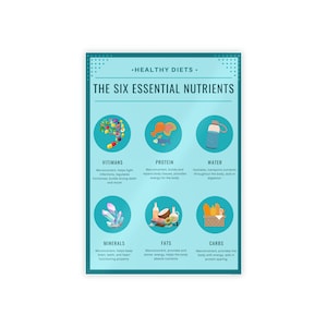 Healthy Eating: 6 Essential Nutrients Poster - Etsy