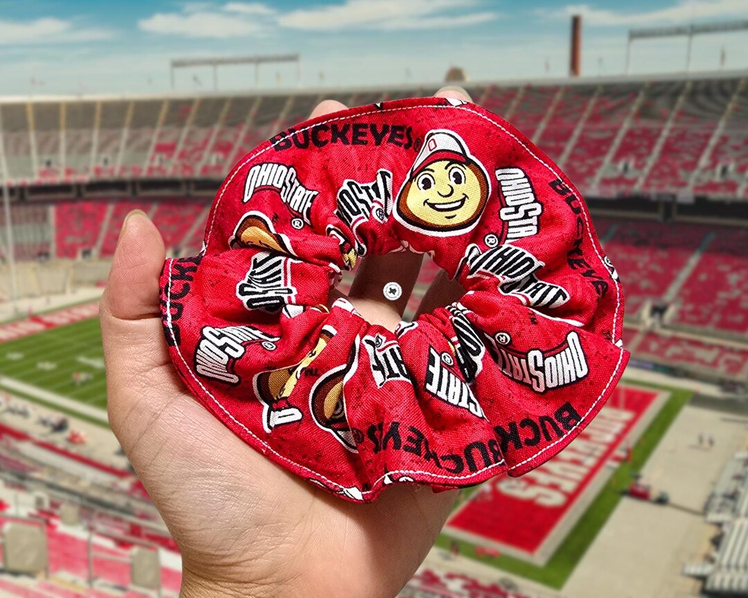 Jumbo Hair Scrunchie With Zipper Pocket | Scarlet and Gray | Columbus ...