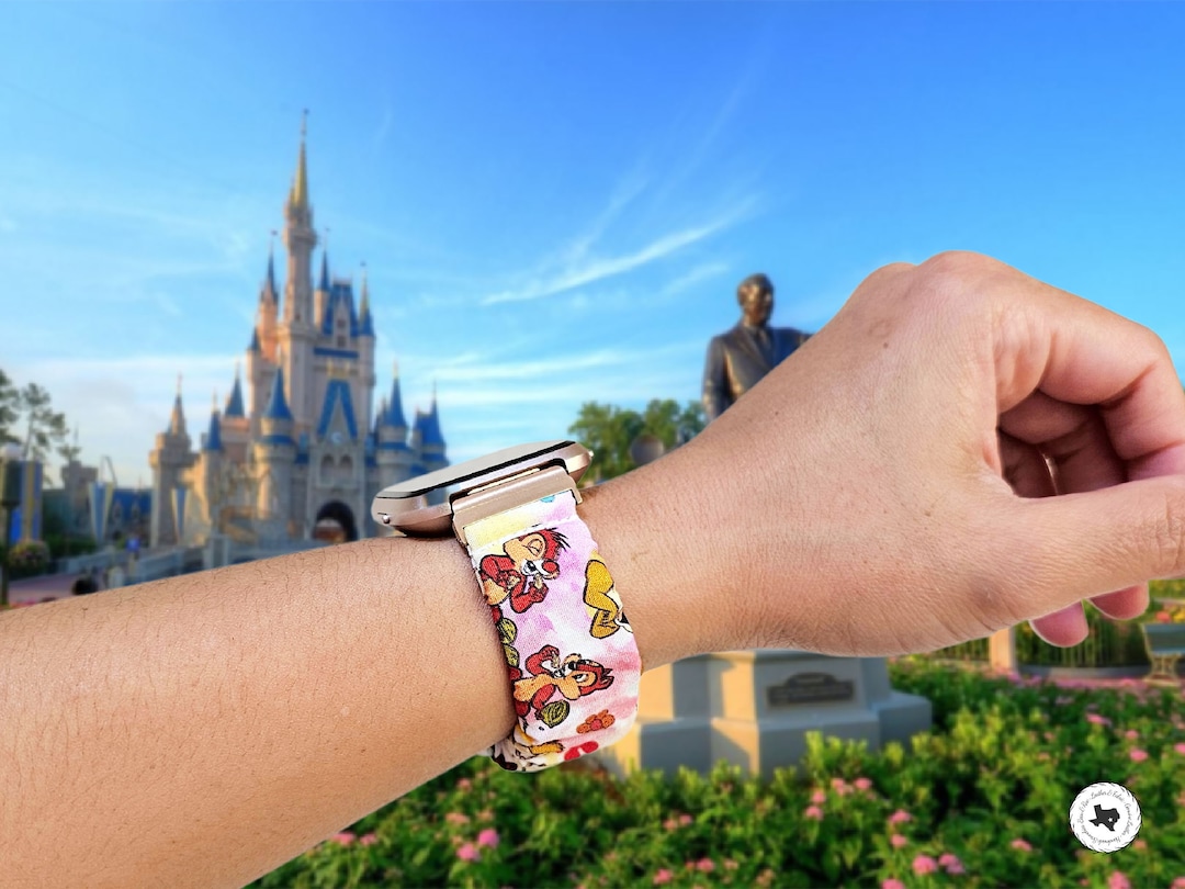 Chipmunk Duo Chip N Dale Scrunchies Series Watch Band for Apple Watch ...