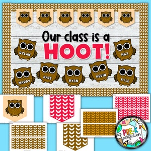 Rainbow Baby Owl Bulletin Board | Forest Animal Bulletin Board ...