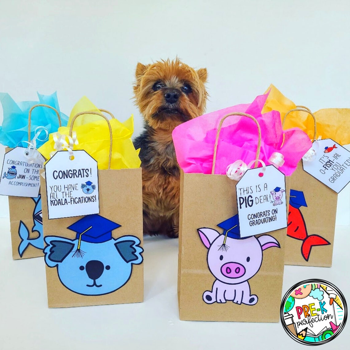 Punny Graduation Gift Tags Digital Download Printable | Etsy