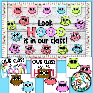 Rainbow Baby Owl Bulletin Board | Forest Animal Bulletin Board ...