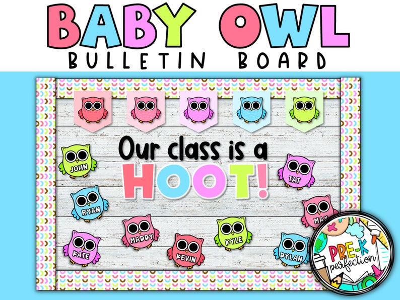 Rainbow Baby Owl Bulletin Board Forest Animal Bulletin Board - Etsy