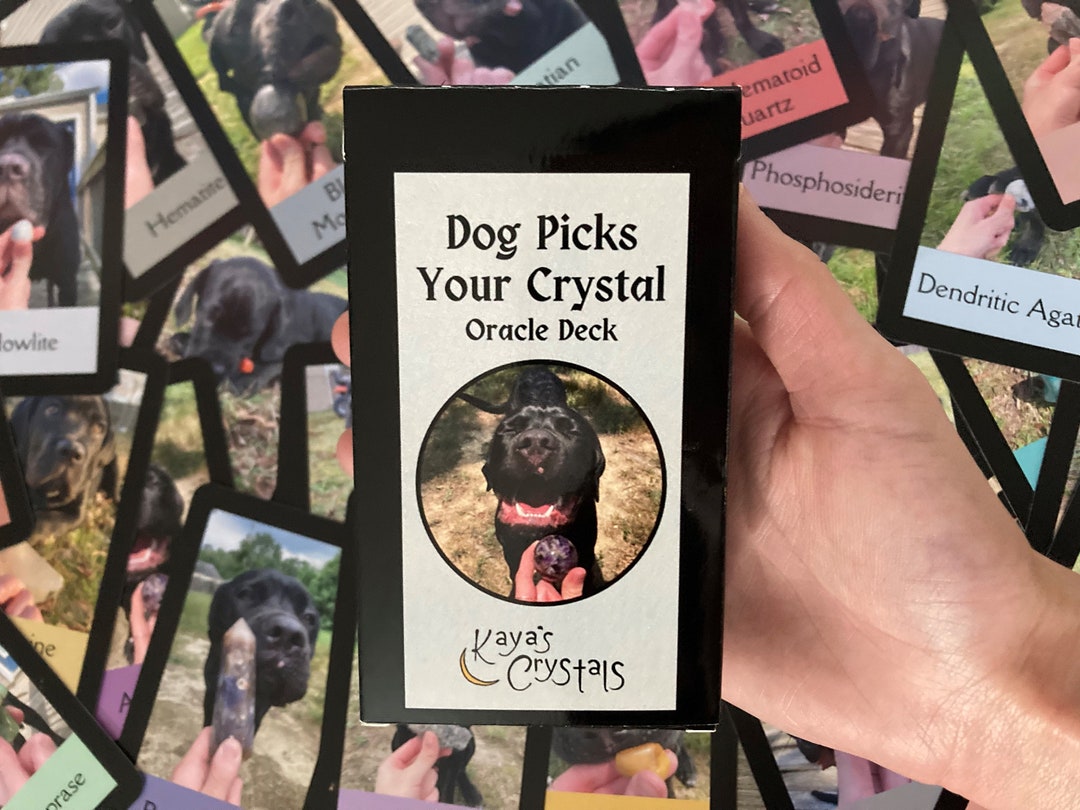 Dog Picks Your Crystal Oracle Deck - Etsy