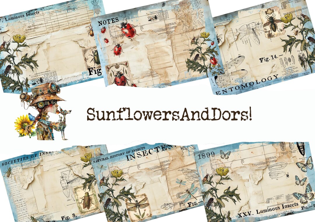 Bugtopia An Entomology Story Sad 0525 03 Etsy