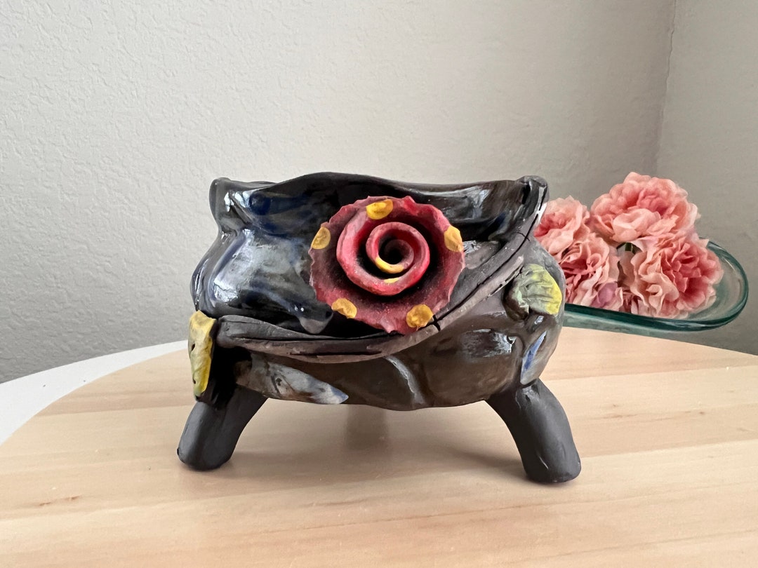 Imported Rare Echeveria Succulent From Korea - Etsy