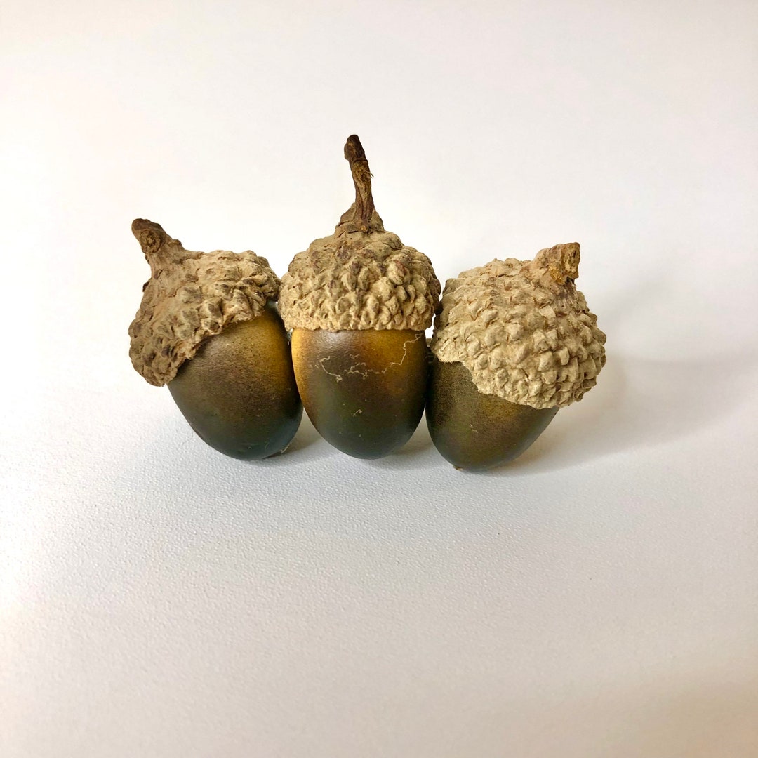 Handmade Faux Acorn Hair Clip: Fall Cottagecore Barrette - Etsy