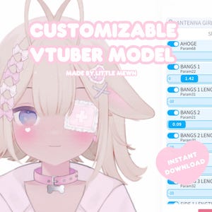 Customizable Vtuber Model for Vtube Studio (digital Download) - Etsy