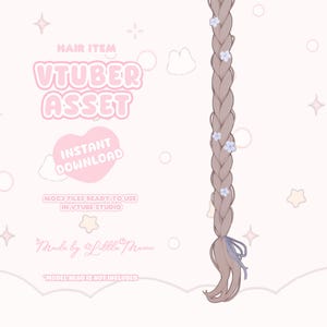 Vtuber Asset | Rigged Enchanted Braid - Etsy