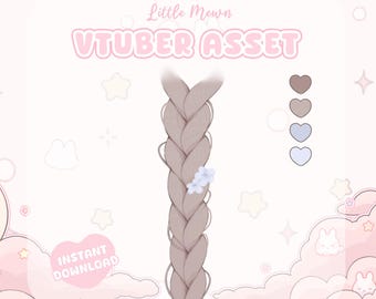 Rigged Ombre Braid Hair Asset Set for Vtube Studio - 6 Color Variations ...