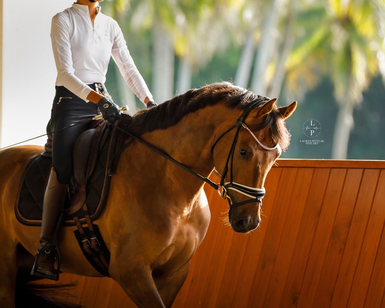 Boss Mare Training Edition limited in Stock - Etsy