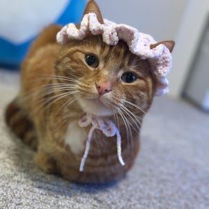 Crochet Sun Cat Hat – Handmade Pet Hat, Cute Cat Clothes for Kitten or ...
