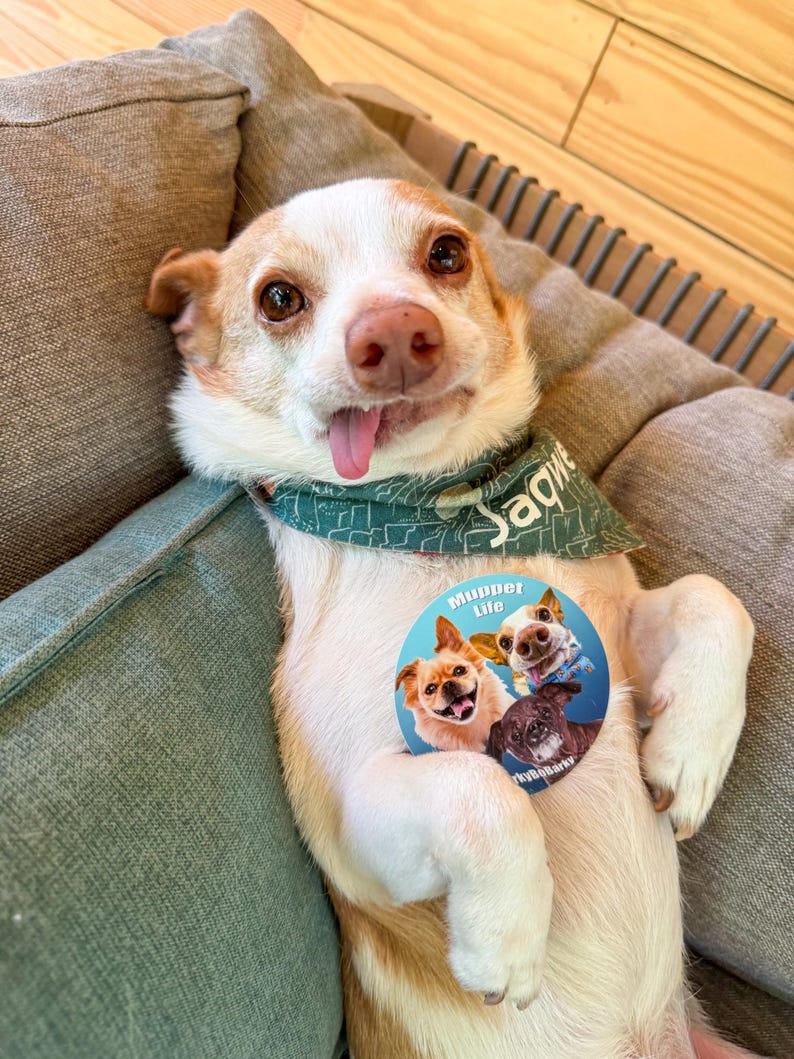 Muppet Bros Fundraiser Sticker - Etsy