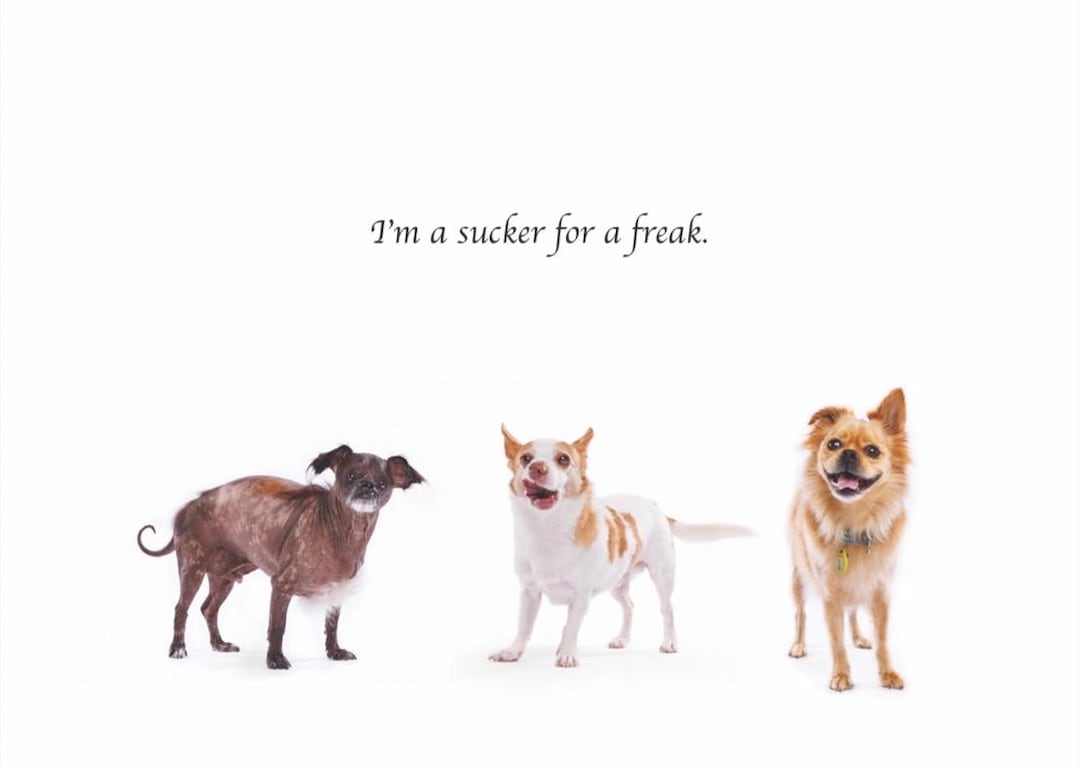 Freak Card - Etsy