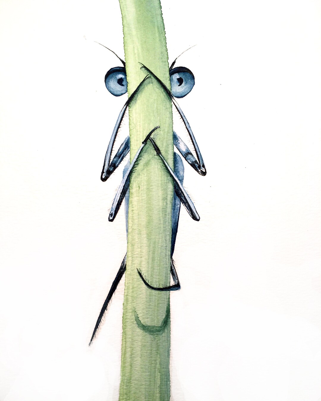 Shy Bug a Watercolor Print of a Cute Insect - Etsy