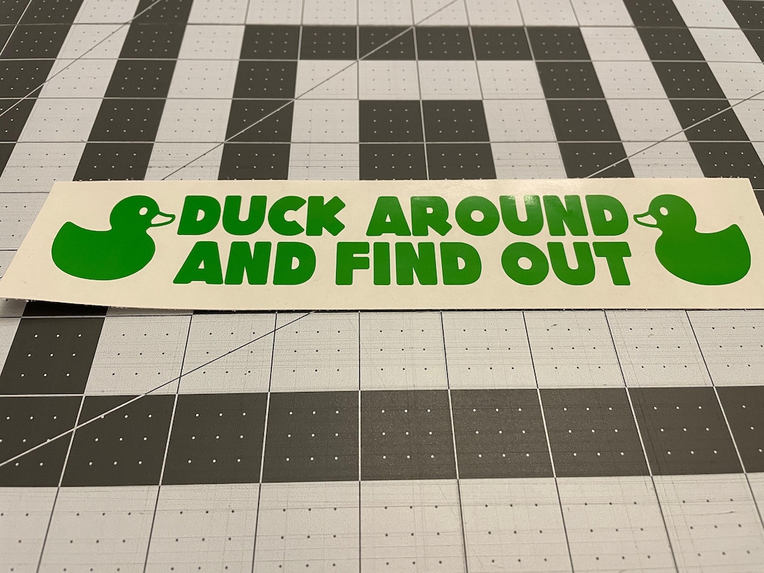 Duck Around and Find Out Decal - Etsy