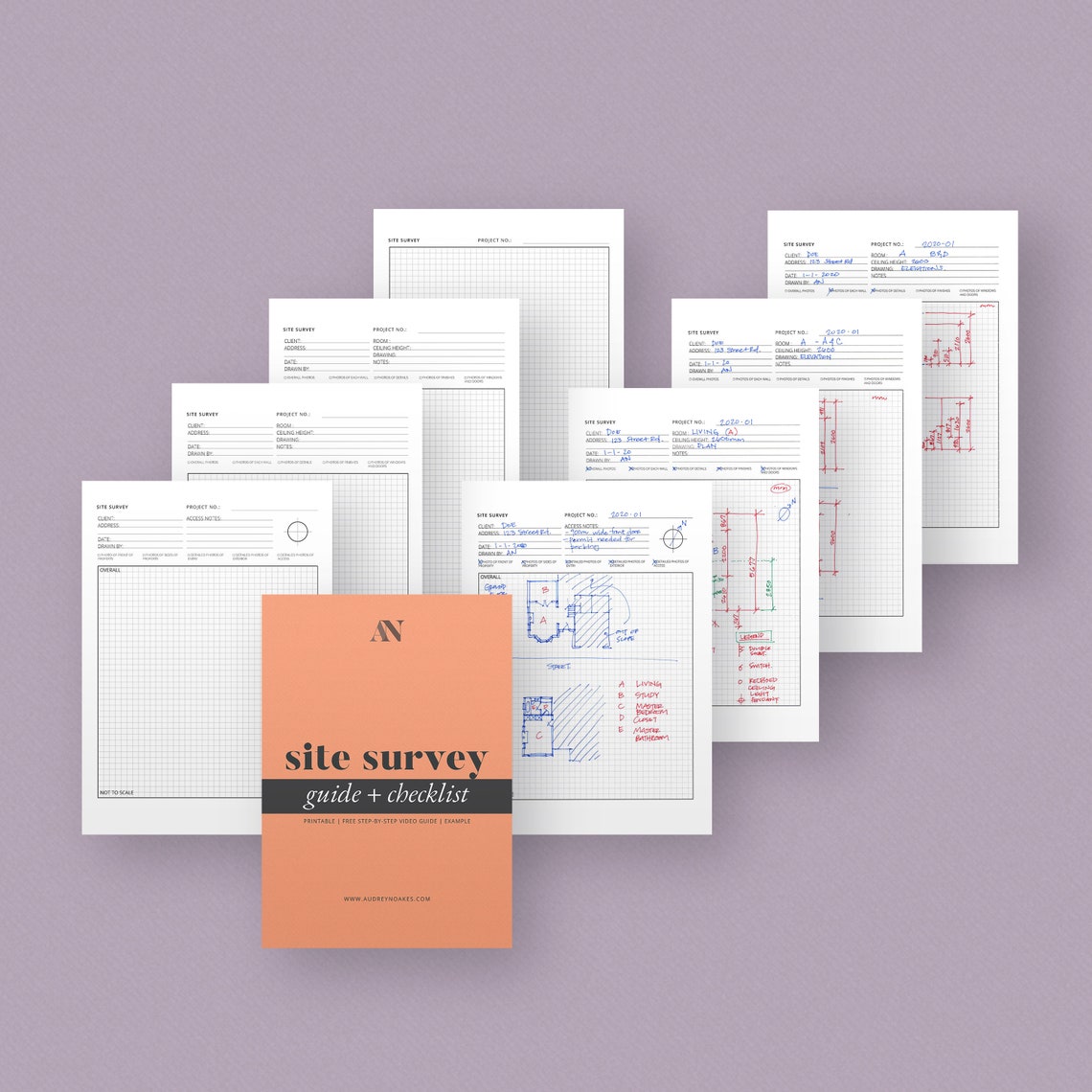 Site Survey Template - Printable for Interior Designers - Etsy