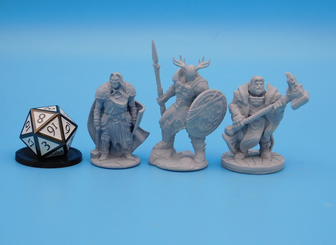 Champions Paladins Hero Pack Holy Knights Oathbound D&D Heroes ...