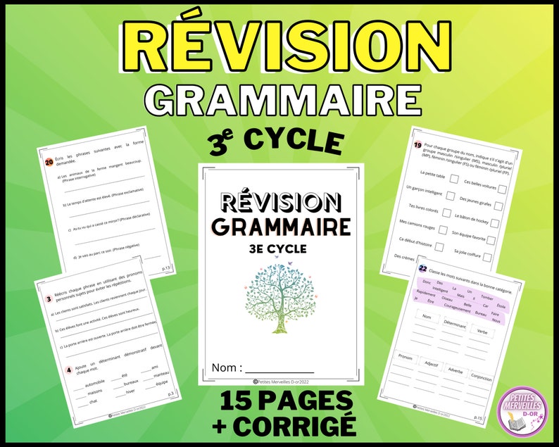 GRAMMAR REVISION Workbook Printable in French | 5th and 6th Year of ...