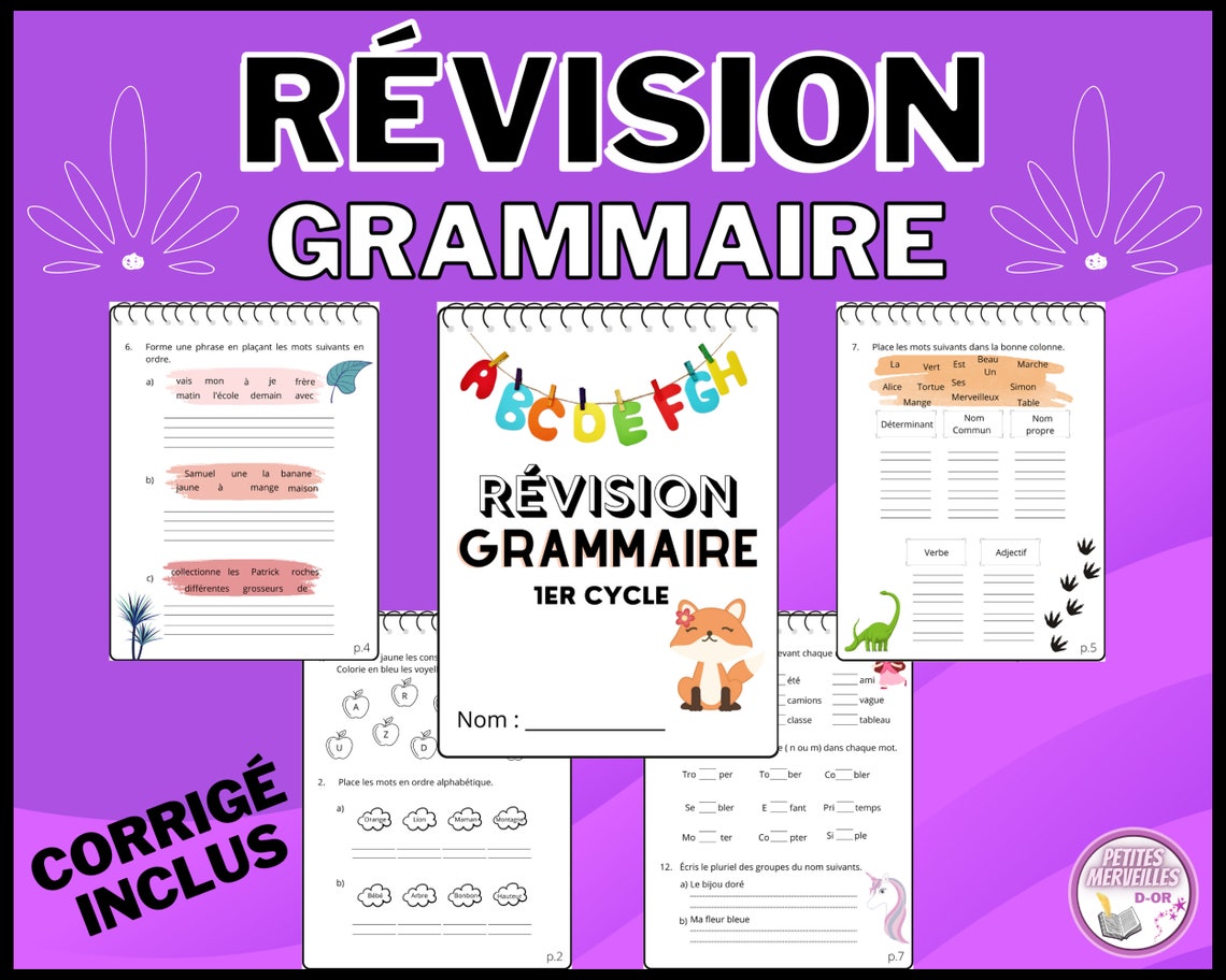 GRAMMAR REVISION Book Printable in French 1st and 2nd Year - Etsy Canada